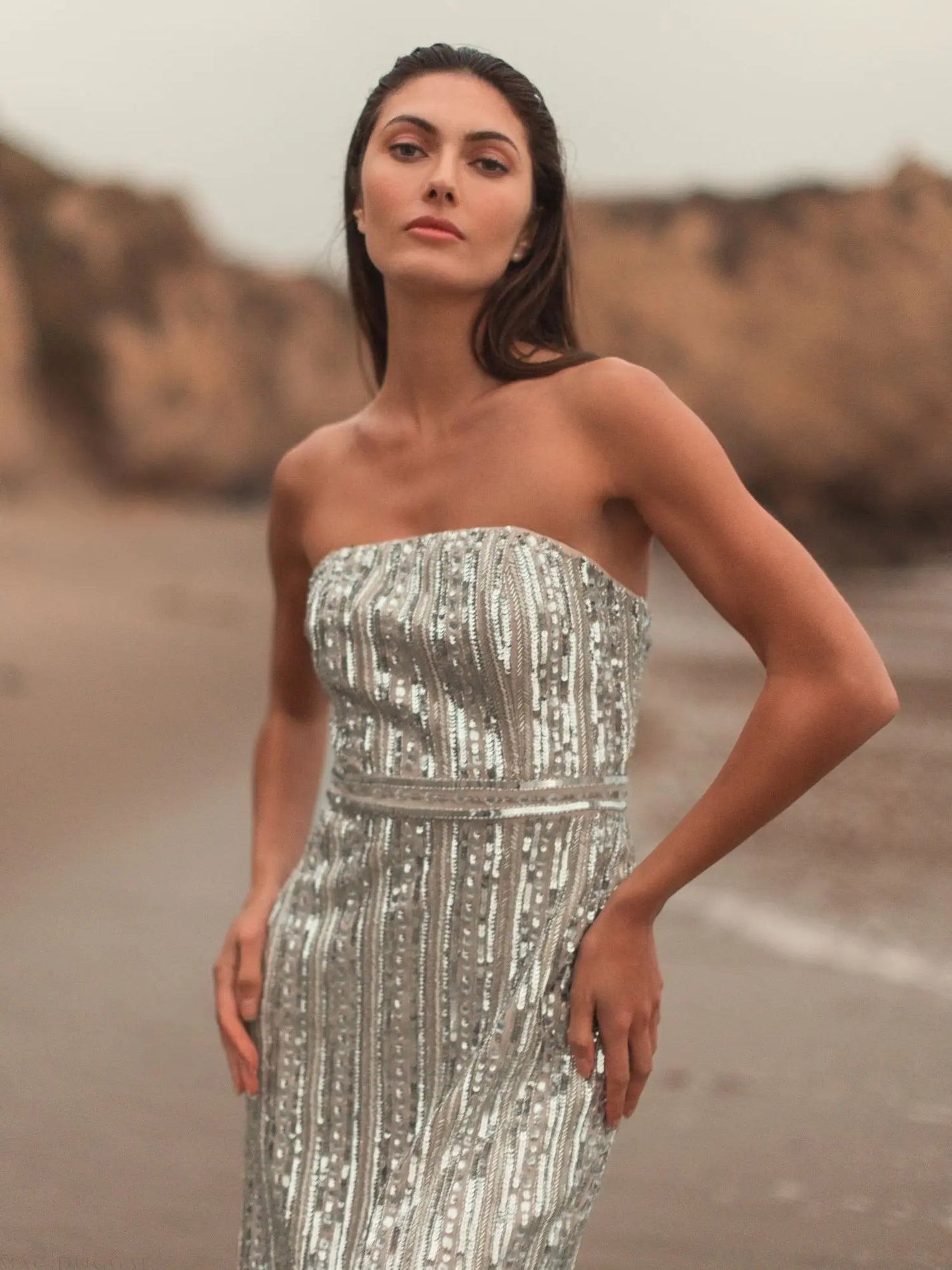 Silver and Beige Embellished Strapless Sheath Dress - Mac Duggal